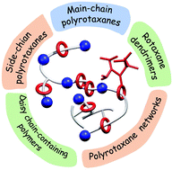 Mechanically interlocked polymers based on rotaxanes - Chemical Society ...