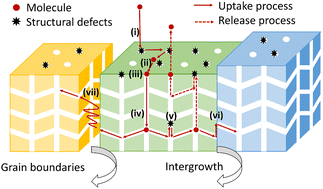 Surface barriers to mass transfer in nanoporous materials for catalysis ...