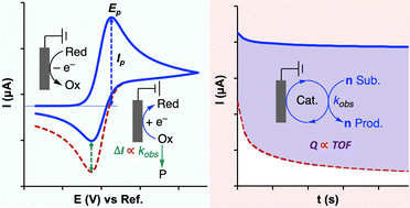 Cyclic voltammetry and chronoamperometry: mechanistic tools for organic ...
