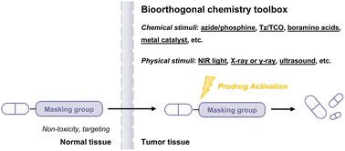 Bioorthogonal chemistry for prodrug activation in vivo - Chemical ...