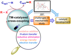 The mechanism of visible light-induced C–C cross-coupling by Csp3–H ...