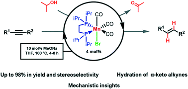 Manganese-catalyzed transfer semihydrogenation of internal alkynes to E ...