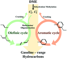 Mechanistic kinetic modeling for catalytic conversion of DME to ...