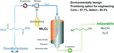 Synthesis of adiponitrile from dimethyl adipate and ammonia in the ...