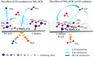 Interactions between CO oxidation and selective catalytic reduction of ...