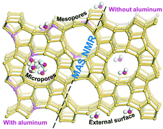 Hydronium ion and water complexes vs. methanol on solid catalyst ...