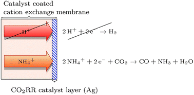 Electrochemical reaction of CO2 to CO on a catalyst coated cation ...