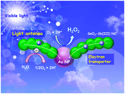A biomimetic all-inorganic photocatalyst for the artificial ...