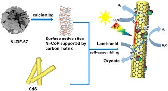 Adjusting the match-degree between electron library and surface-active ...