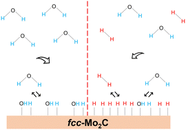 Evidence of water dissociation and hydrogenation on molybdenum carbide ...