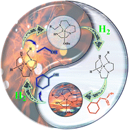 Mild and highly selective hydrogenation of cyclohexyl acetate to ...