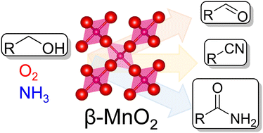 β-MnO2 nanoparticles as heterogenous catalysts for aerobic oxidative ...