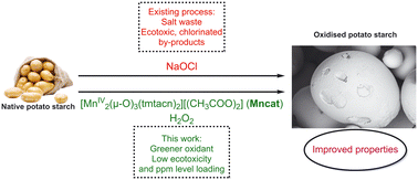 Benign catalytic oxidation of potato starch using a homogeneous ...