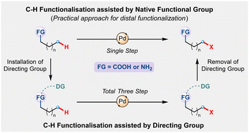 Native functional group directed distal C(sp3)–H activation of ...