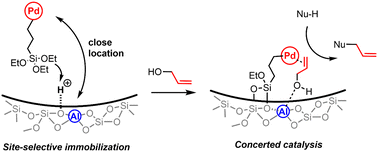 A heterogeneous Pd complex catalyst for allylation with allylic ...