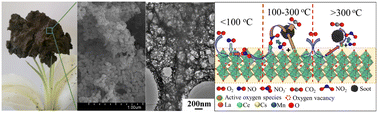 Ultralight and spongy La–Mn-based perovskite catalysts modified by ...
