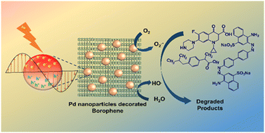 Pd nanoparticles-decorated borophene nanosheets for intrinsic ...