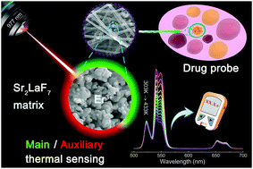 A dual-ratiometric optical thermometry based on Sr2LaF7:Er3+ crystal ...
