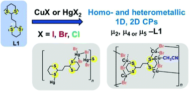 2,2′-Ethylenebis(1,3-dithiane) as a polydentate μ2-, μ4- and μ5 ...