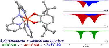 Spin transitions in ferric catecholate complexes mediated by outer ...
