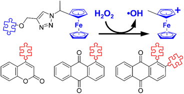 Ferrocene-appended anthraquinone and coumarin as redox-active ...