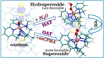 Non-heme oxoiron complexes as active intermediates in the water ...
