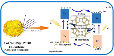 In situ growth of hierarchical phase junction CdS on a H-mordenite ...