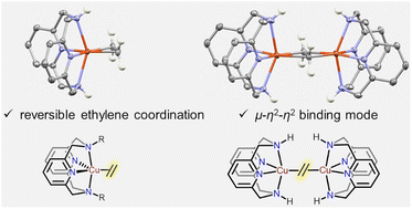 Ethylene binding in mono- and binuclear CuI complexes with tetradentate ...