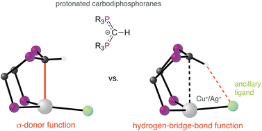 Cationic ligands between σ-donation and hydrogen-bridge-bond ...