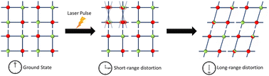 Short- vs. long-range elastic distortion: structural dynamics of a [2 × ...