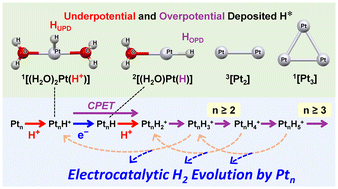 Theoretical study on the mechanism of the hydrogen evolution reaction ...