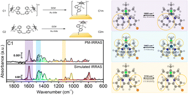 PM-IRRAS and DFT investigation of the surface orientation of new Ir ...