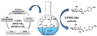 Peptide-based chemical models for lytic polysaccharide monooxygenases ...