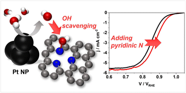 OH scavenging pyridinic N for facile oxygen reduction reaction on free ...