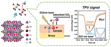 Photogenerated carrier behavior at a gas–solid interface for CO2 ...