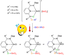 Tin(ii) cations stabilized by non-symmetric N,N′,O-chelating ligands ...