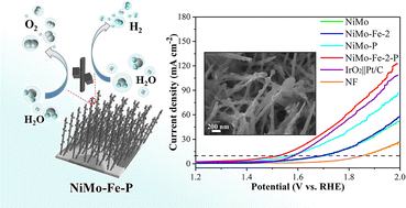 Self-supporting NiMo–Fe–P nanowire arrays as bifunctional catalysts for ...
