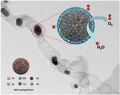 High entropy alloy nanoparticles encapsulated in graphitised hollow ...