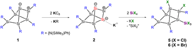 Synthesis and functionalization of the six-vertex anionic amido ...