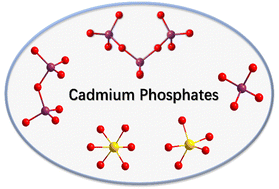 Cadmium phosphates with two types of fundamental building units and a ...