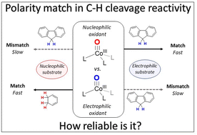 Quantifiable polarity match effect on C–H bond cleavage reactivity and ...