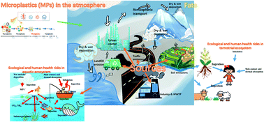 Ecological and human health risks of atmospheric microplastics (MPs): a ...