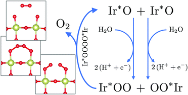 The Ir–OOOO–Ir transition state and the mechanism of the oxygen evolution reaction on IrO2(110 ...