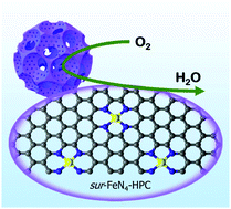 Highly accessible and dense surface single metal FeN4 active sites for ...