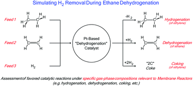 Catalytic limitations on alkane dehydrogenation under H2 deficient ...