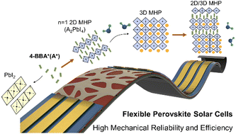 Polarity and moisture induced trans-grain-boundaries 2D/3D coupling ...