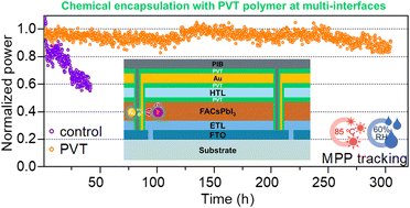 Governing PbI6 octahedral frameworks for high-stability perovskite ...
