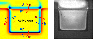 Lateral ion migration accelerates degradation in halide perovskite ...