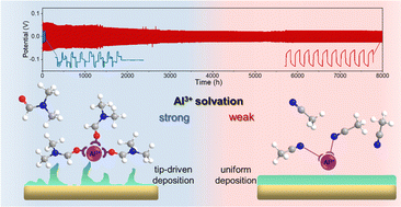Unveiling solvation structure and desolvation dynamics of hybrid ...