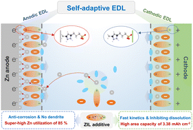Engineering a self-adaptive electric double layer on both electrodes ...